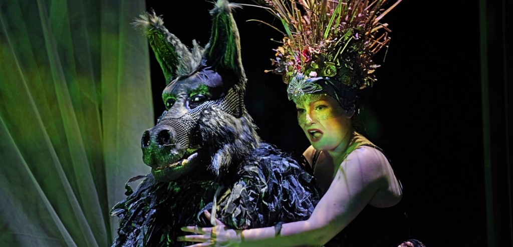 Christopher Michael Petzold - Christopher Michael Petzold