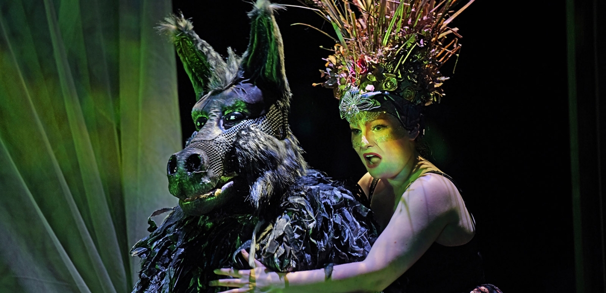 Christopher Michael Petzold - Christopher Michael Petzold